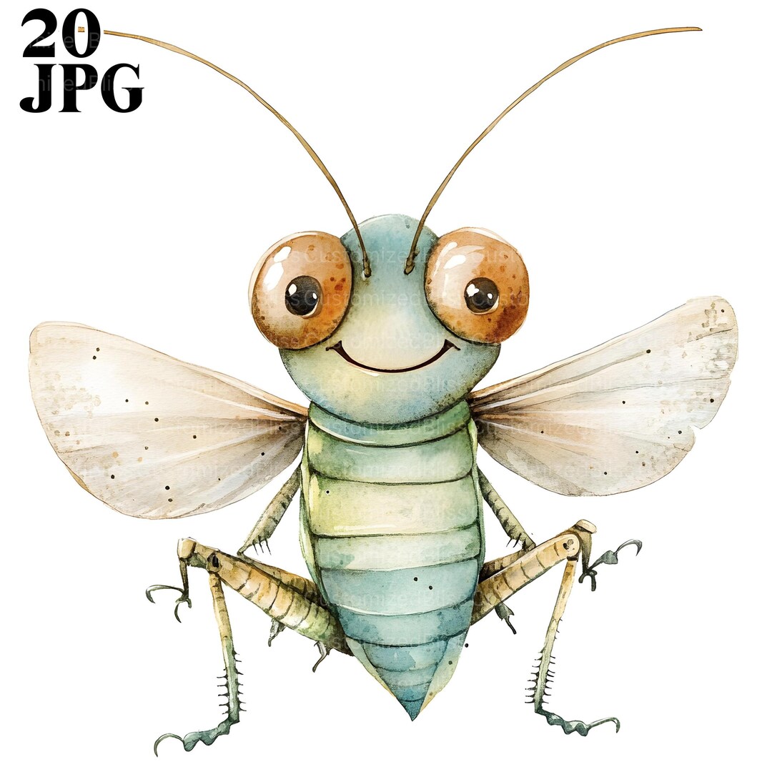20 Grasshopper Clipart, Cute Insect Clipart, High Quality JPG ...
