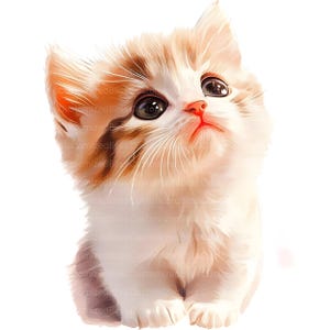 20 Cute Cat Clipart, Happy Cats, Baby Kitten, Happy Cat, Kitten Clipart ...