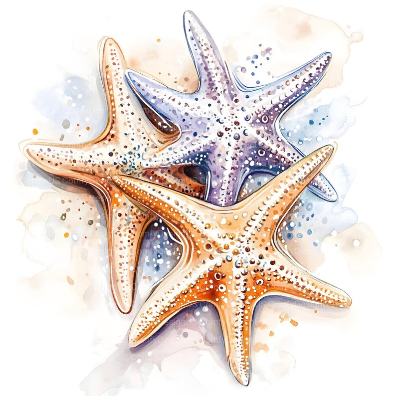 12 Starfish Clipart, Starfish Images, Beach Clipart, Watercolor Clipart ...