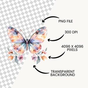 Lovely Butterfly With Flowers Clipart Bundle, 30 High Quality Pngs ...