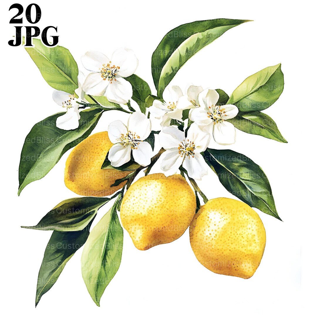 20 Lemon Clipart, Fruits Flowers Leaves, Printable Lemon, High Quality ...