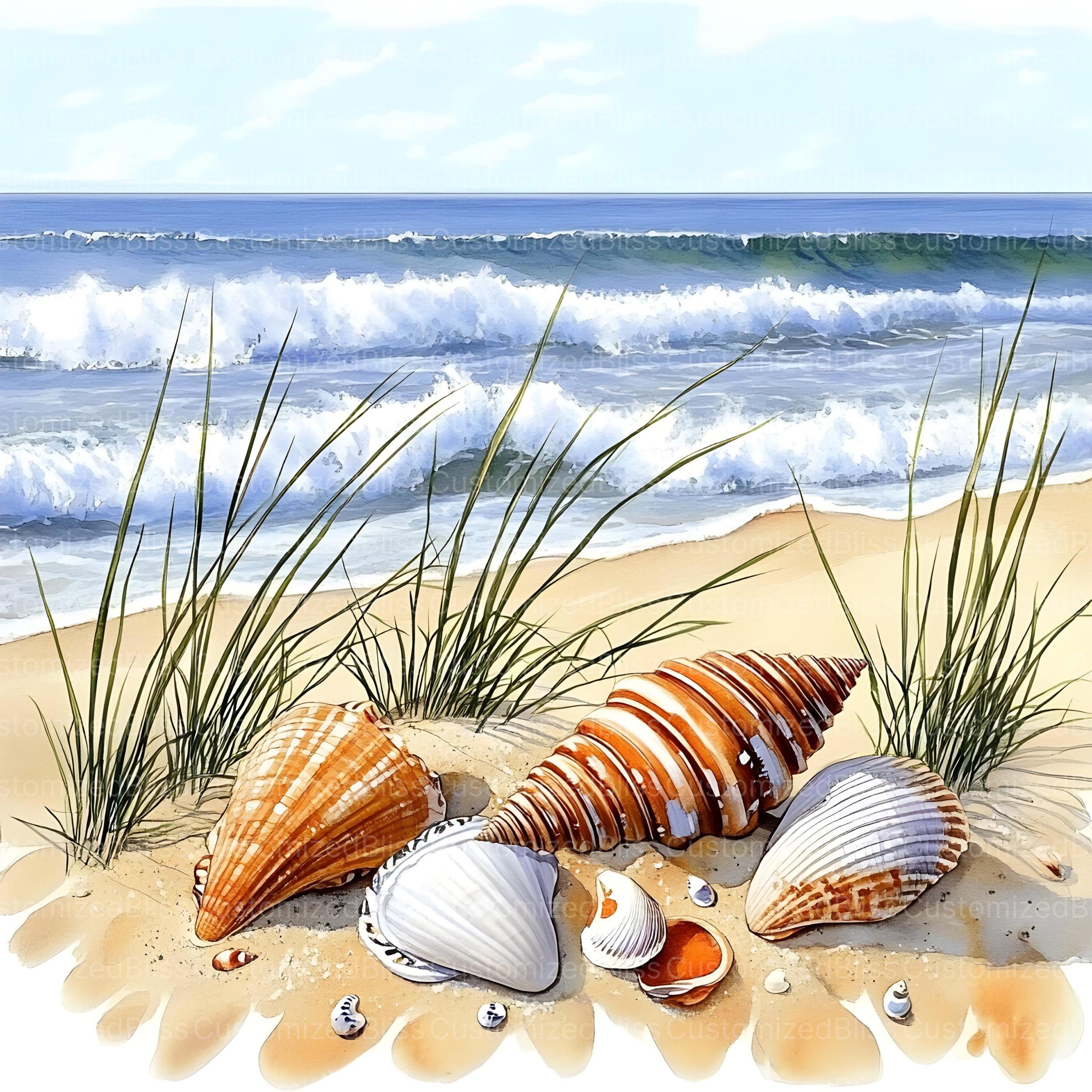 20 Tropical Beach Shells Clipart, Beach Clipart, High Quality JPG ...