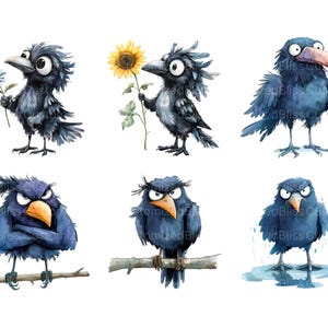 37 Crazy Raven Clip Art, Raven PNG, Funny Bird Clipart, Bird PNG ...