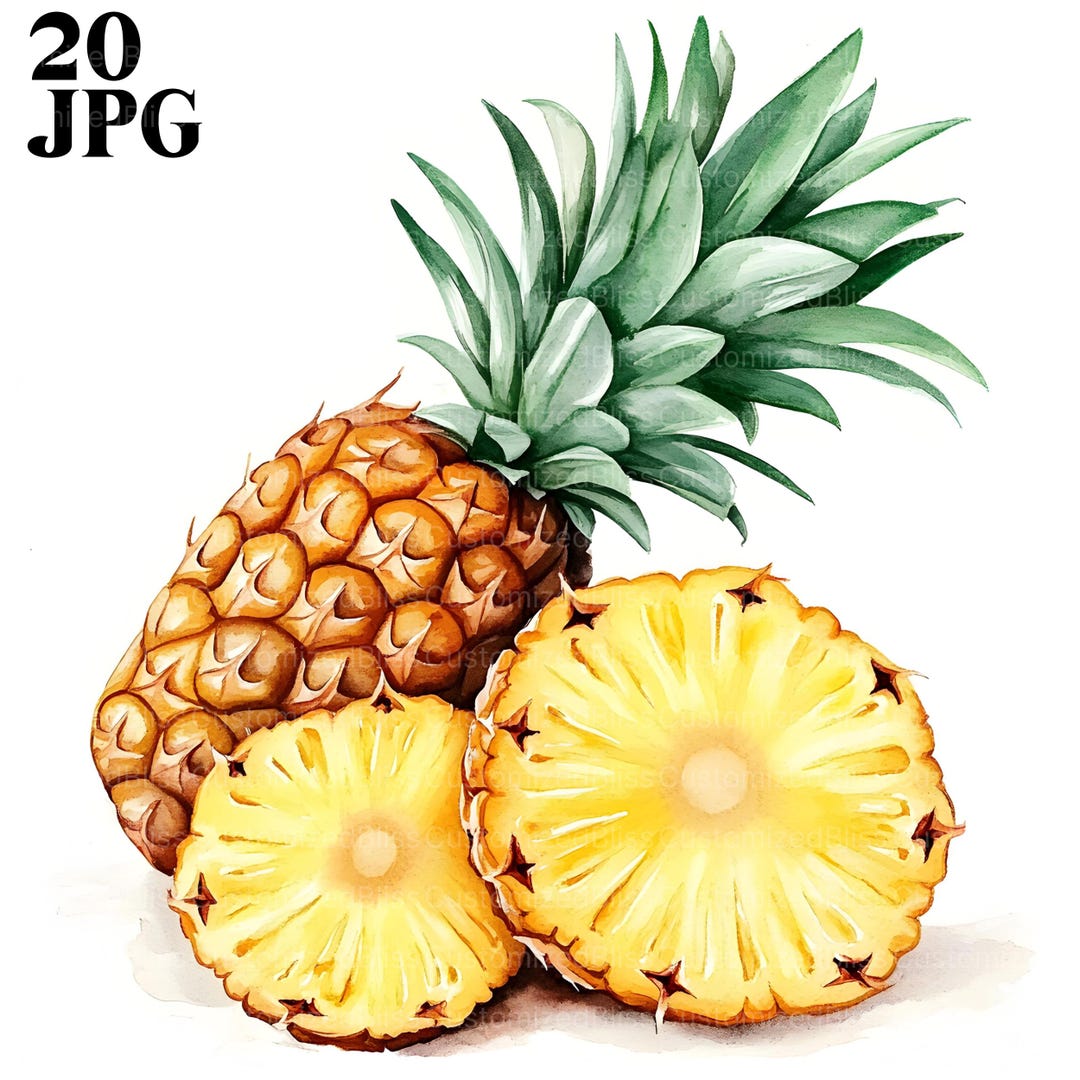 20 Realistic Pineapple Clipart, Watercolor Fruit, High Quality JPG ...