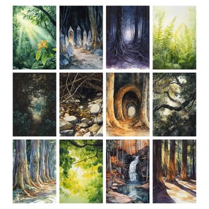 Deep Forest Pages, Forest Images, Watercolor, Nature Scenery ...