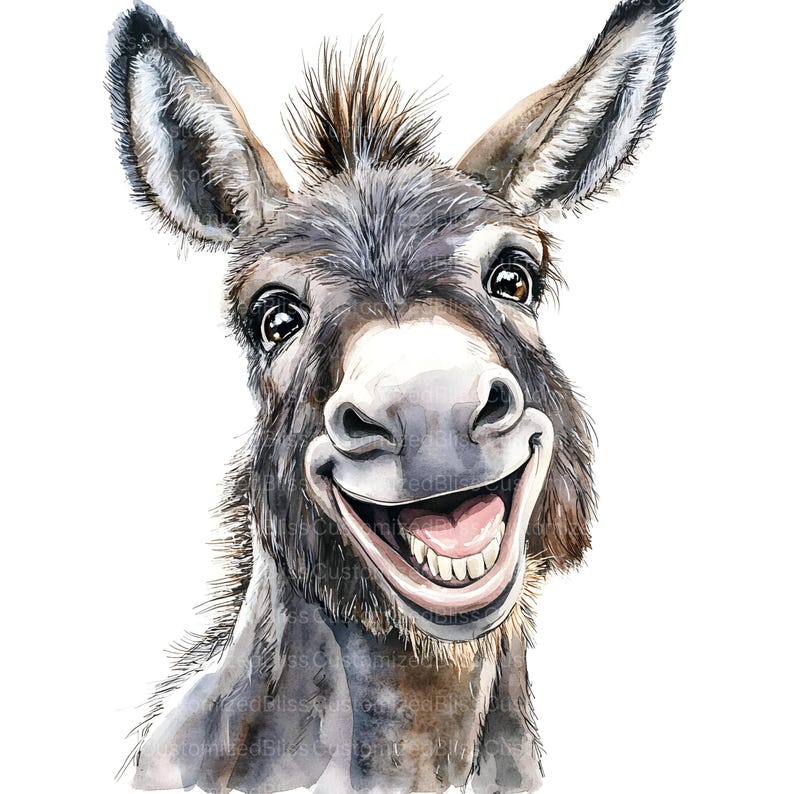 Laughing Donkey Clipart Bundle, 14 High-quality Jpgs, Cute Happy Donkey ...