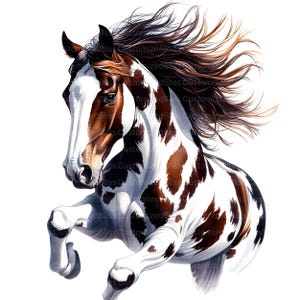 20 Paint Horse Clipart, Horse Lovers, Equine Clipart, Horse Designs ...