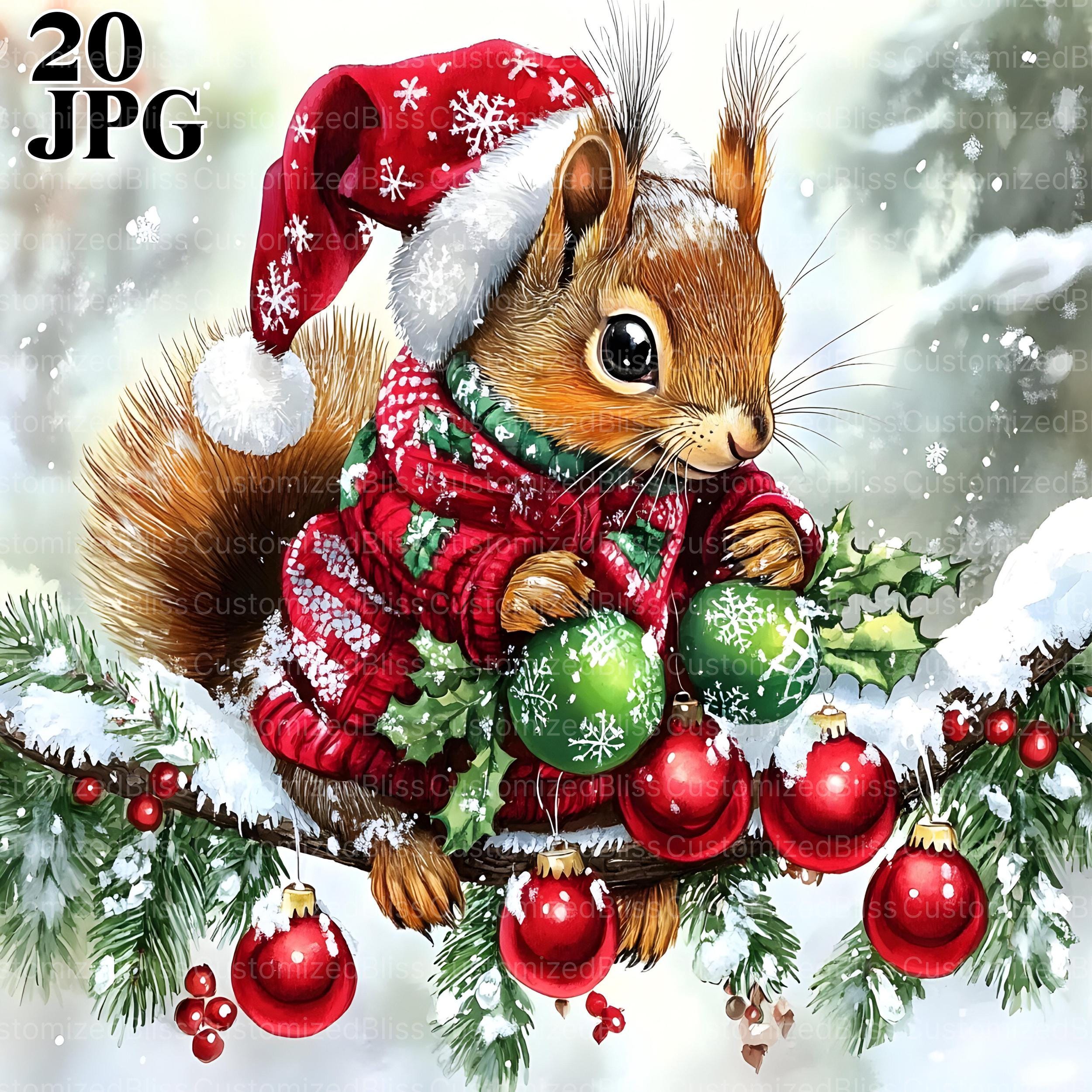 20 Christmas Squirrel Clipart, Festive Squirrel, Winter Squirrel ...