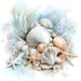 Seashell Clipart, Sea Shells Clipart, Coral Clipart, Ocean Clipart, 20 ...