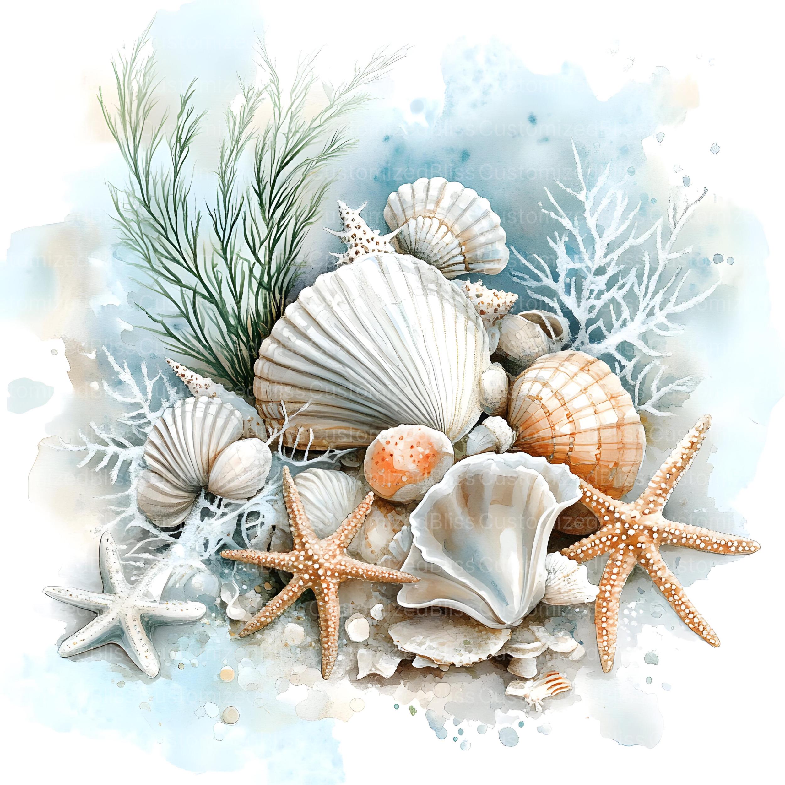 Seashell Clipart, Sea Shells Clipart, Coral Clipart, Ocean Clipart, 20 ...