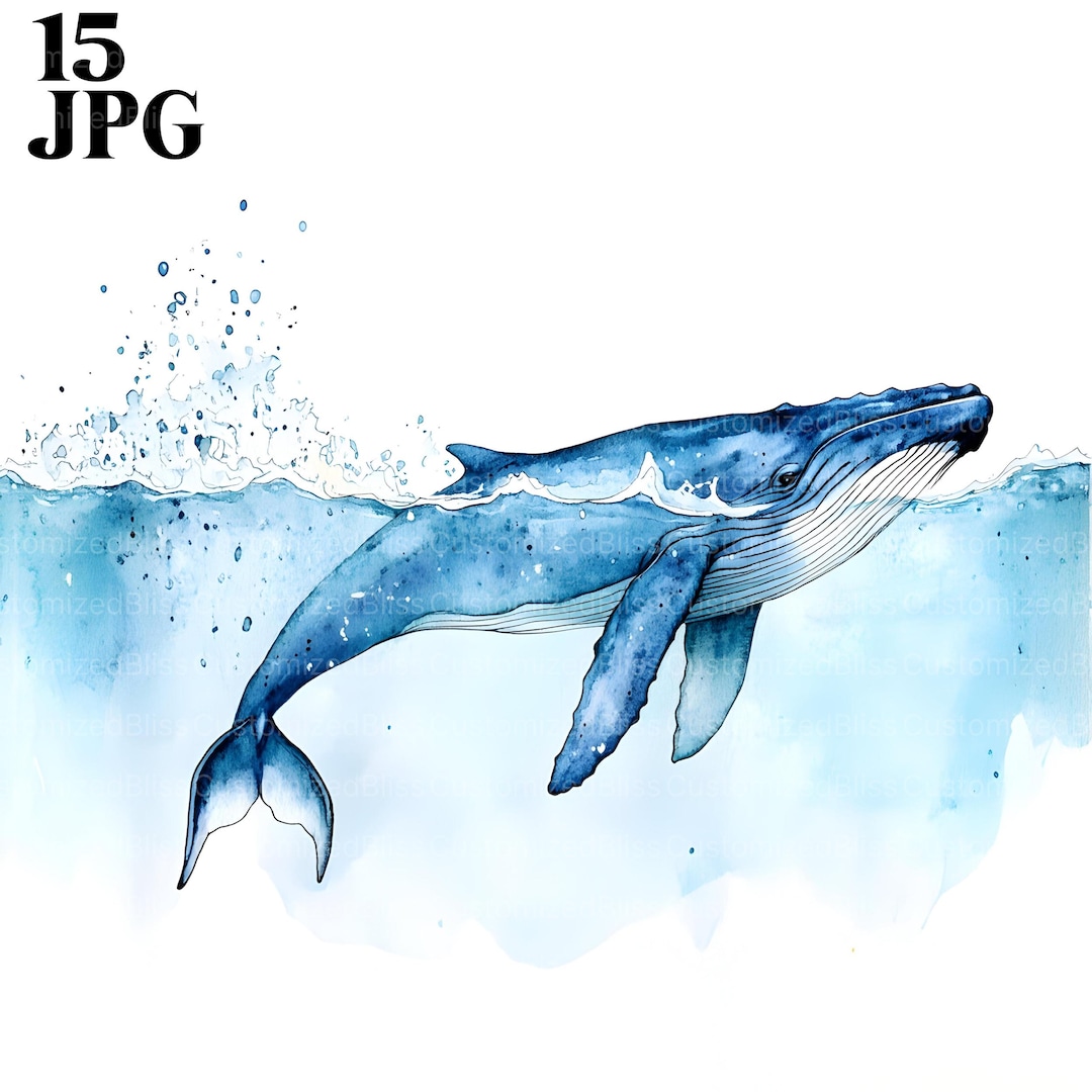 15 Whale in Sea Clipart, Whale Illustration, Whale Clipart, Watercolor ...