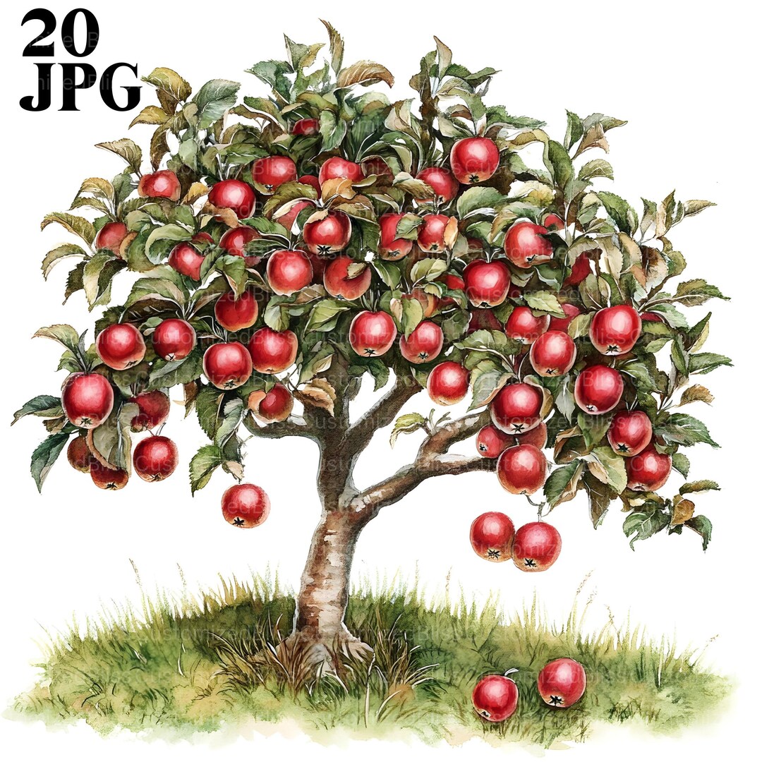 20 Apple Trees Clipart, Apple Clipart, Botanical Clipart, High Quality ...