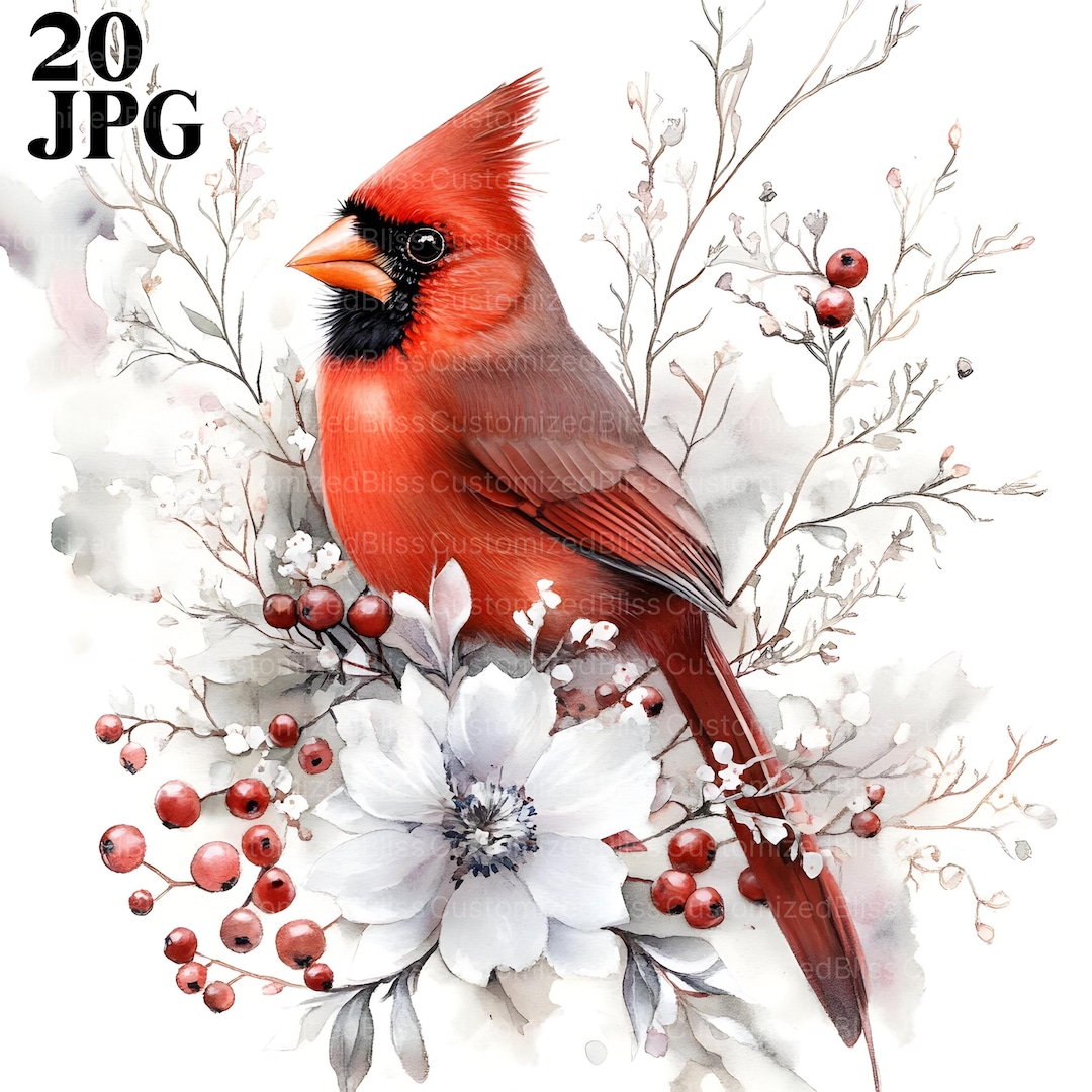 20 Red Cardinal Clipart, Cute Bird Clipart, Cute Bird Nursery Clipart ...