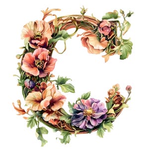 20 Letter C Clipart, Alphabet Clipart, Nursery Clipart, High Quality ...