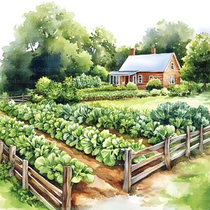 20 Vegetable Garden Clipart, Farmyard Clipart, Farm Clipart, Garden ...