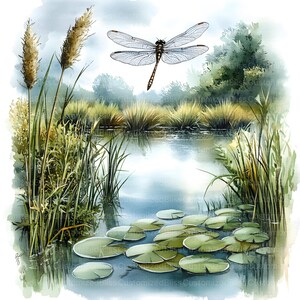 20 Cattails and Dragonflies Clip Art, Dragonfly Clipart, Cattails ...