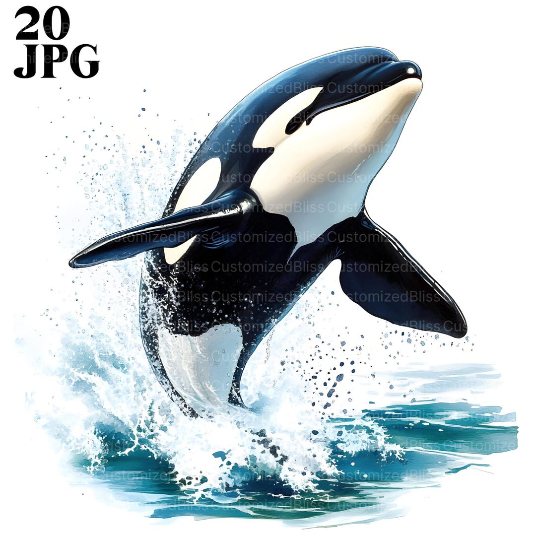 20 Killer Whale Clipart, Orca Clipart, Orca Whale, Marine Clipart ...