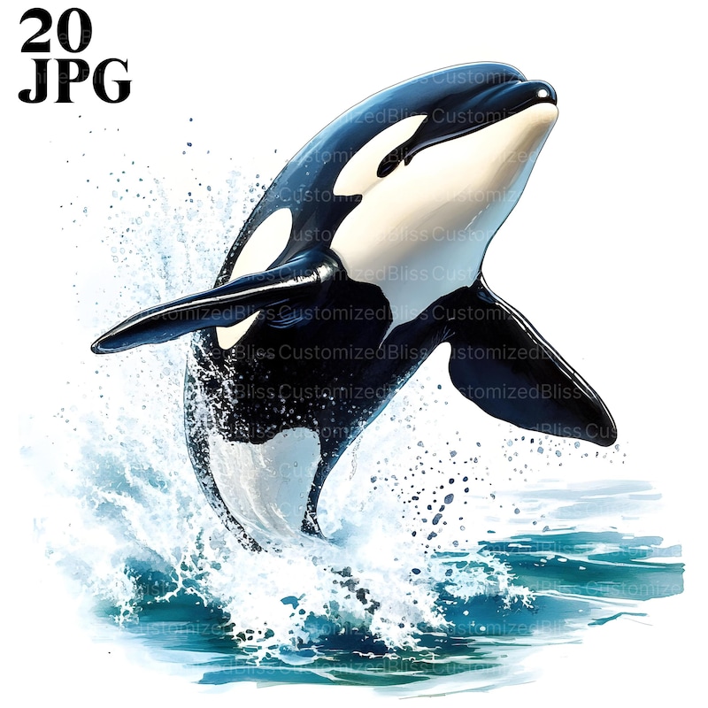 Orca Card 3d - Etsy