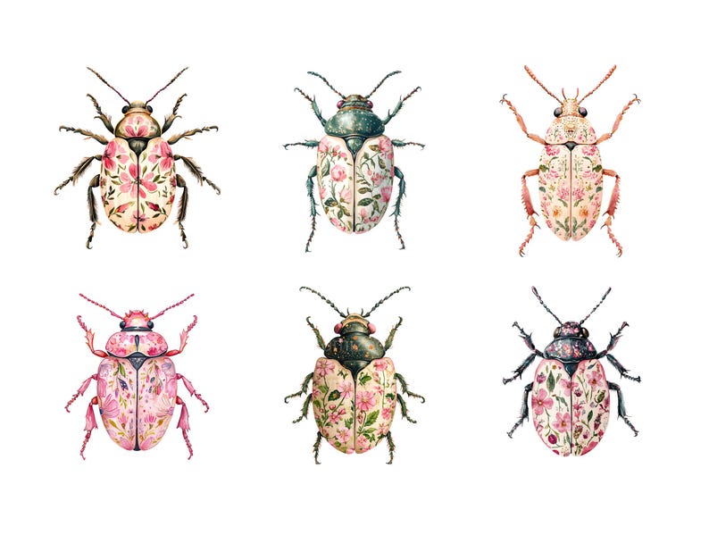 Floral Beetle Insect Clipart Bundle, 30 High Quality PNG, Folk Art ...