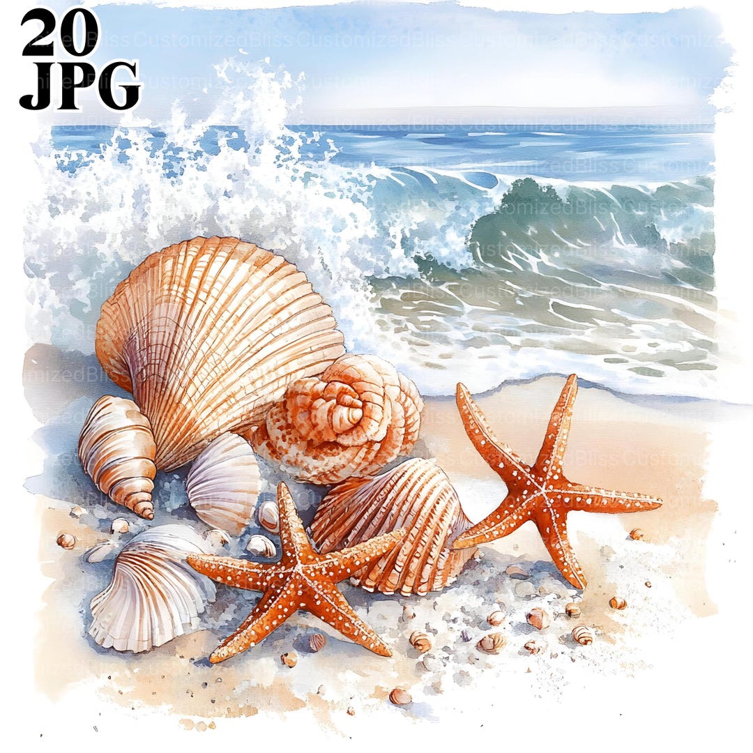 20 Sea Shells Clipart, Seashell Clipart, Ocean Clipart, High Quality ...