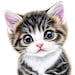 17 Cat Clipart, Kitten Clipart, Black and White Cat, Brown Cat ...