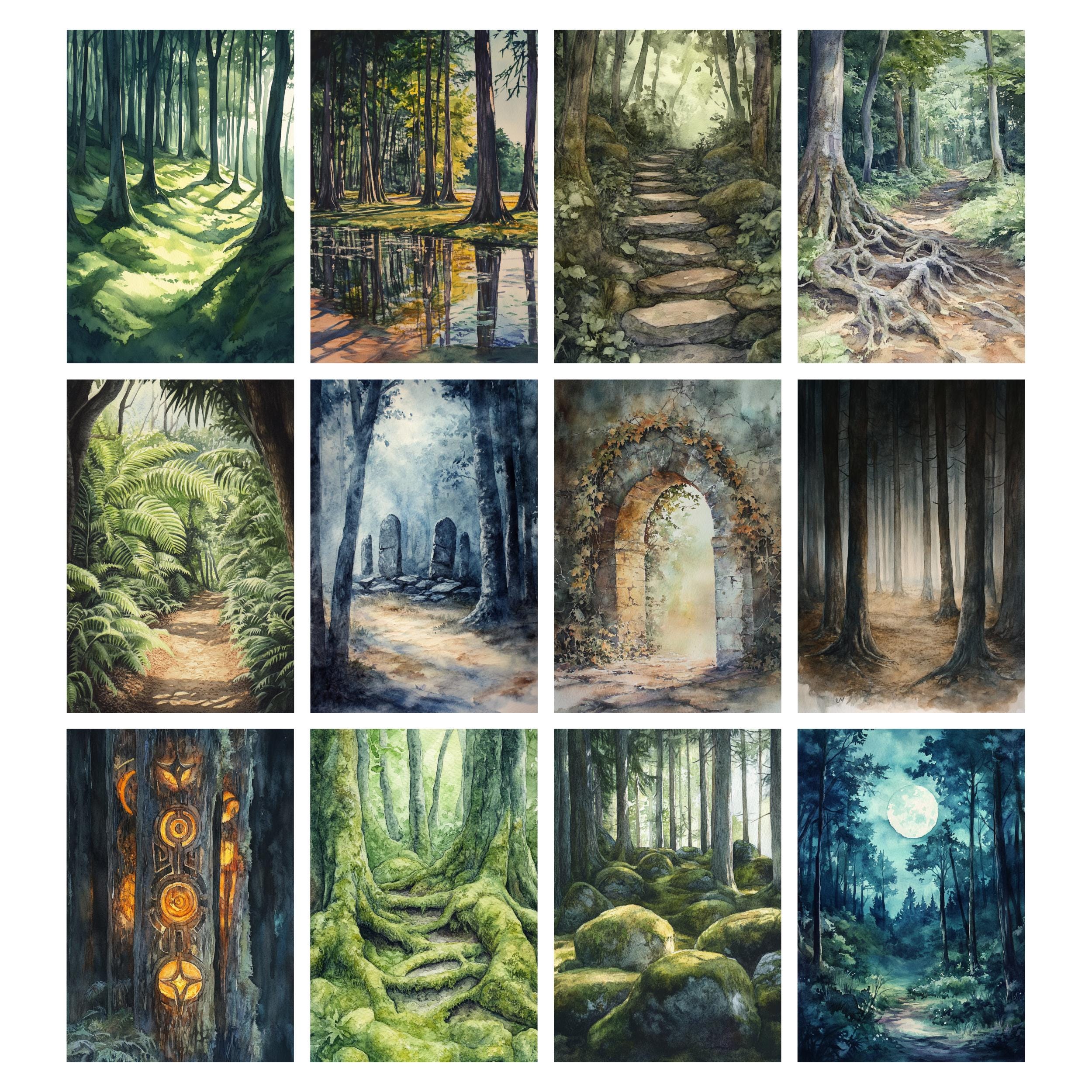 Deep Forest Pages, Forest Images, Watercolor, Nature Scenery ...