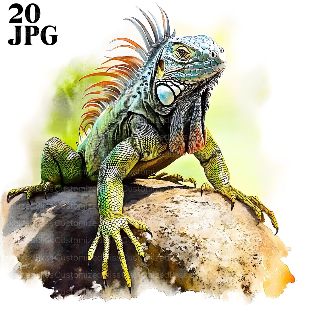 20 Iguana Clipart, Lizard Clipart, Reptile Clipart, High Quality Jpgs ...