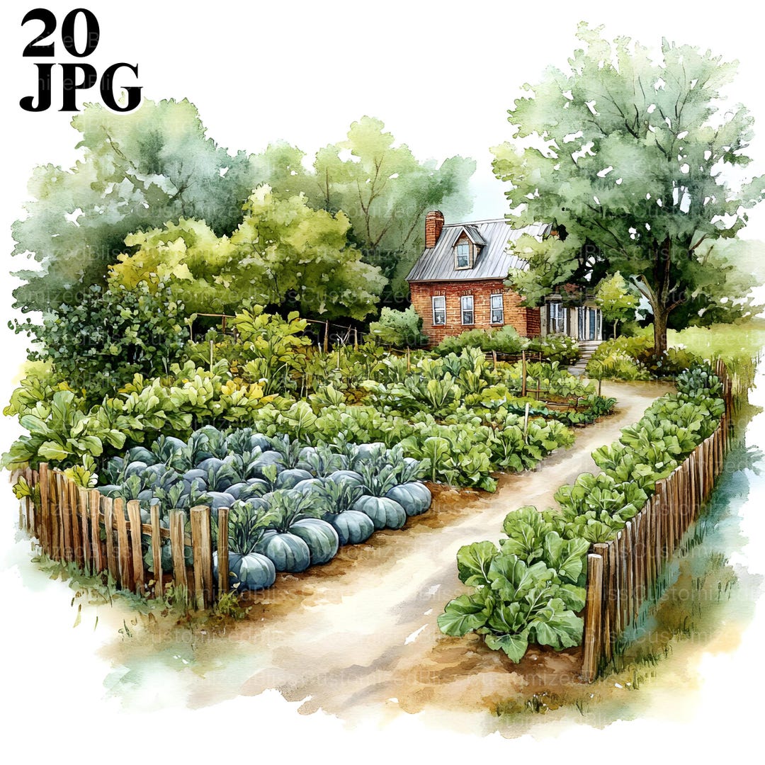 20 Vegetable Garden Clipart, Farmyard Clipart, Farm Clipart, Garden ...