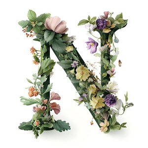 20 Letter N Clipart, Alphabet Clipart, Nursery Clipart, High Quality ...