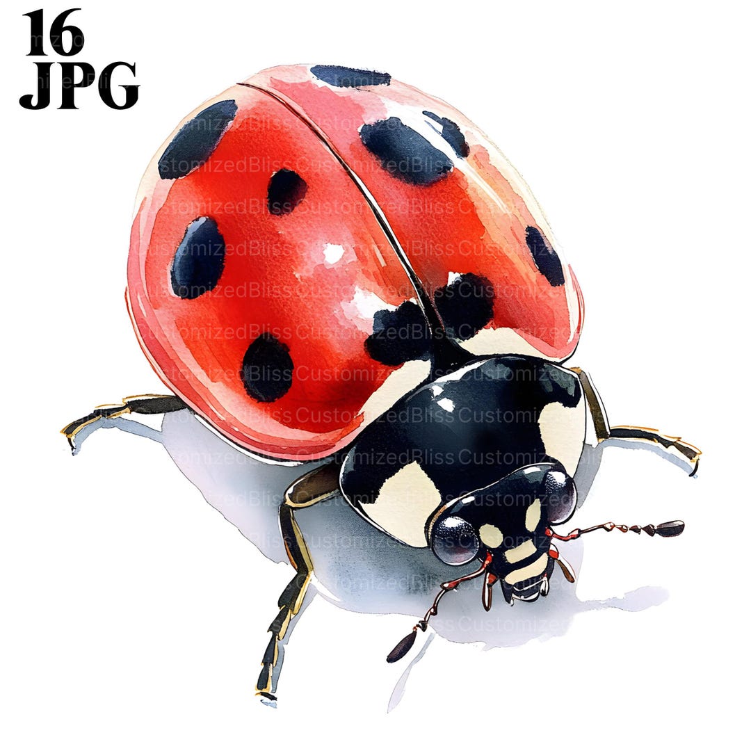 16 Ladybug Clipart, Watercolor Ladybug, Bug Clipart, High Quality Jpgs ...