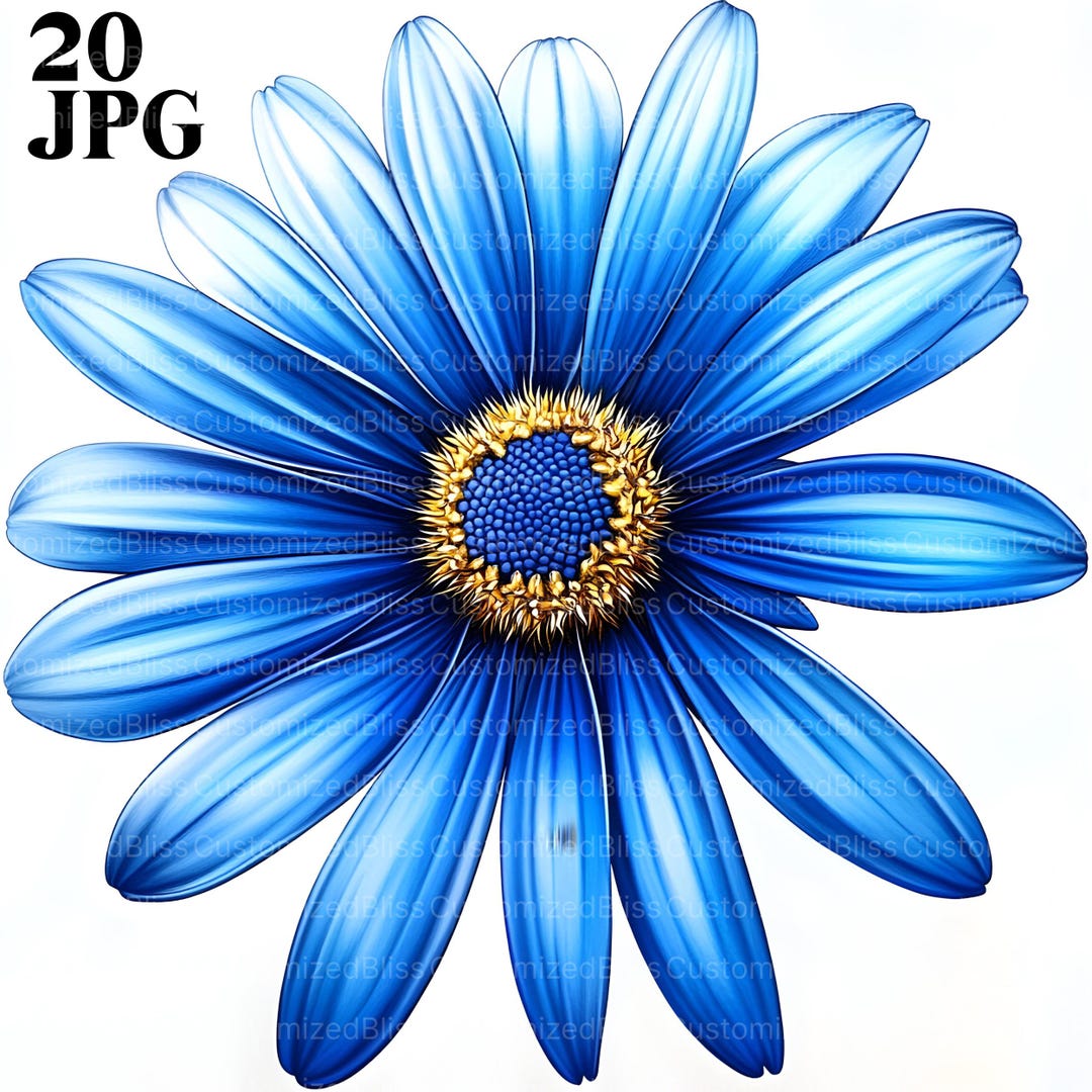 20 Blue Daisy Clipart, Cute Blue Daisy, Blue Flowers, Floral Clipart ...