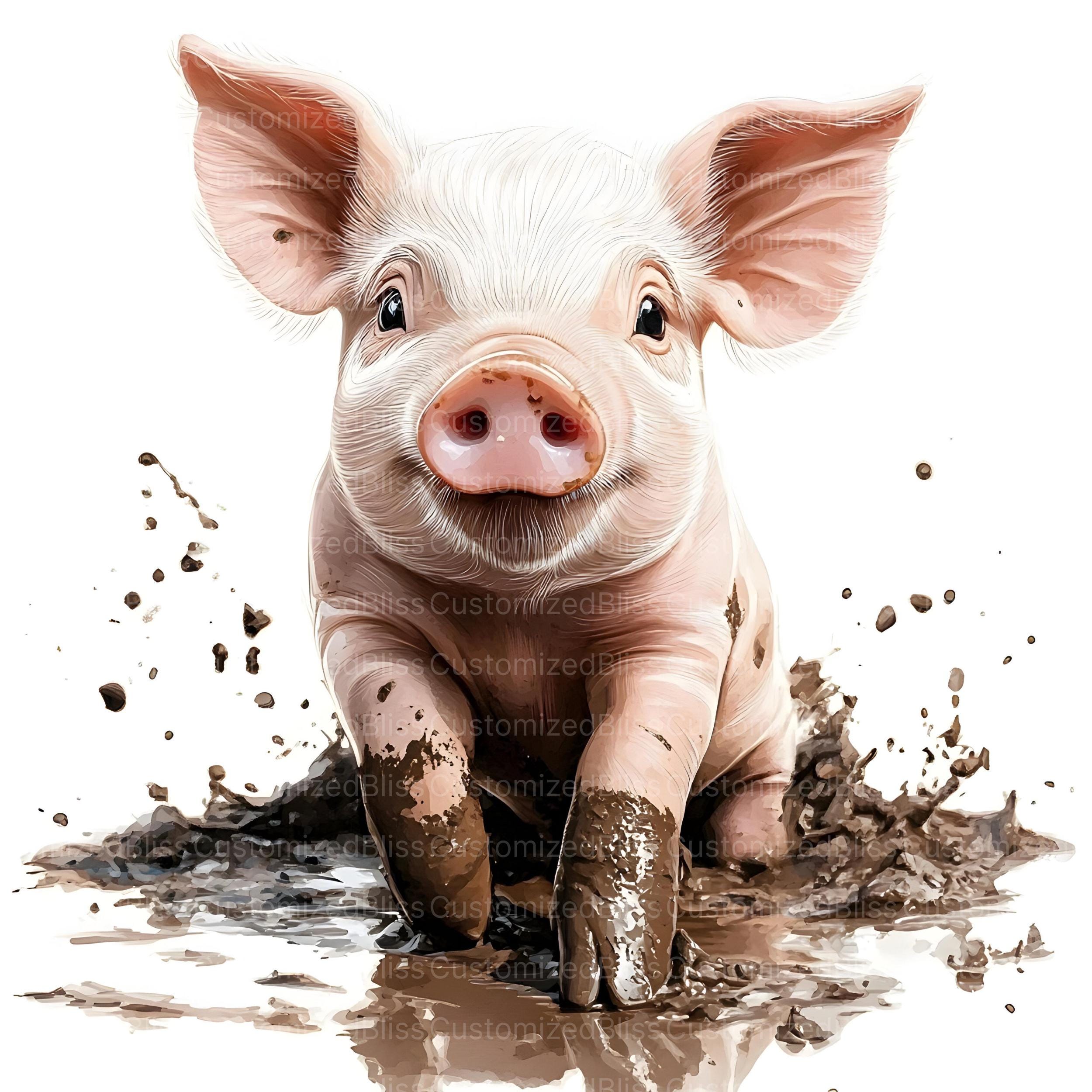16 Pig in Mud Puddle Clipart, Pig Clipart, Piglet Clipart, Mud Clipart ...