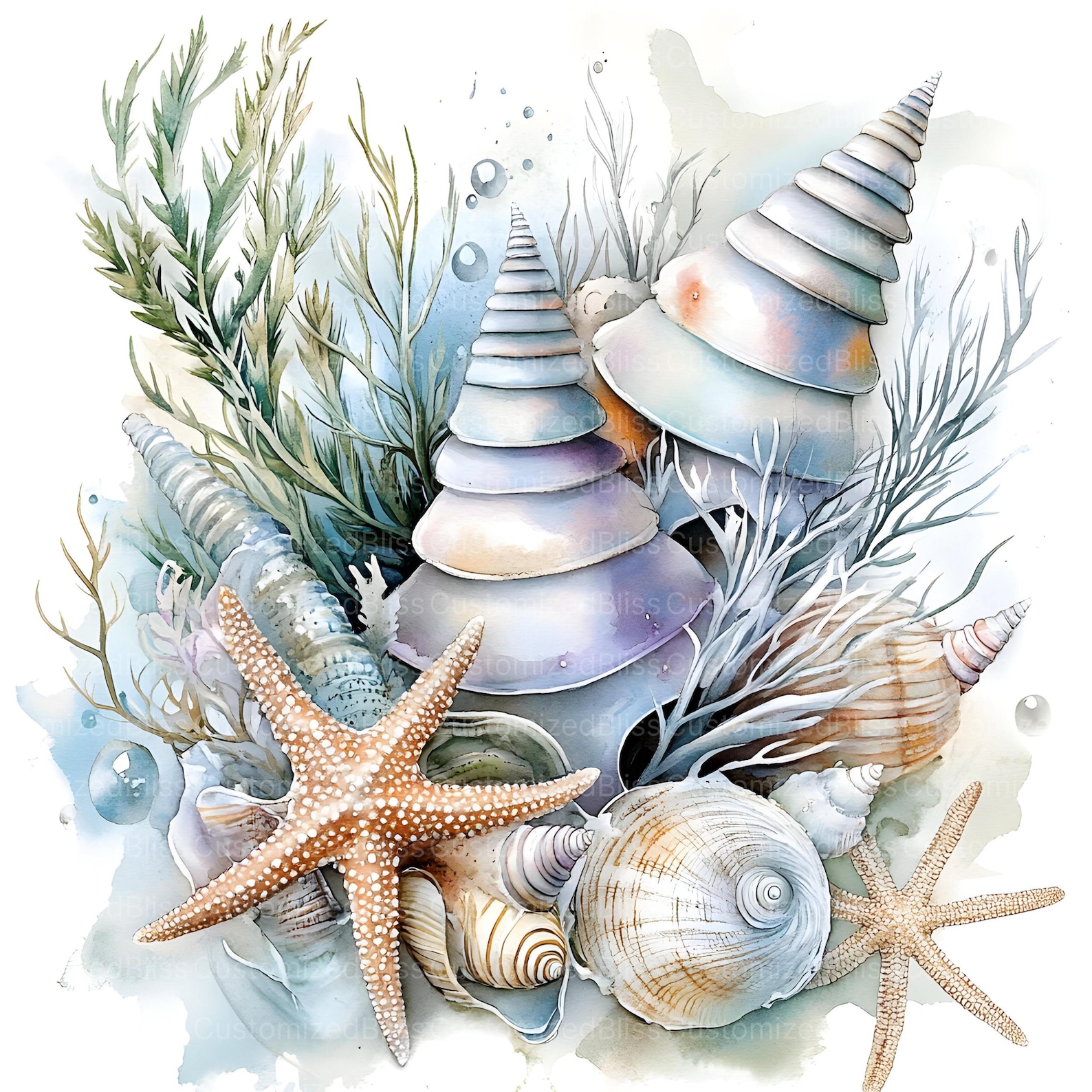 Seashell Clipart, Sea Shells Clipart, Coral Clipart, Ocean Clipart, 20 ...
