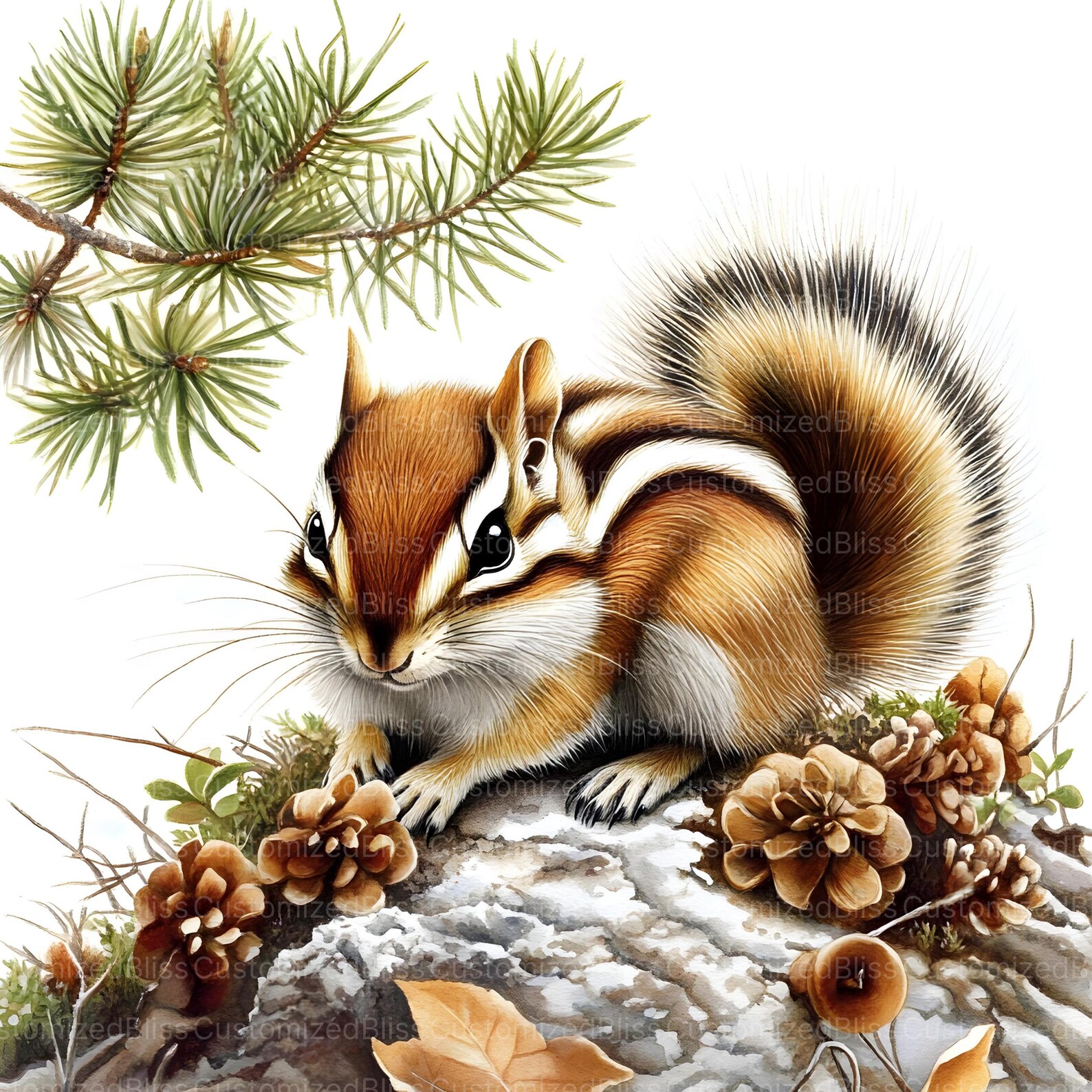 Chipmunk Clipart, Eastern Chipmunk, Woodland Animal, 14 High Quality ...