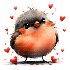 10 Valentine Robin Bird Clipart Bundle, Robin Clipart, Valentine ...