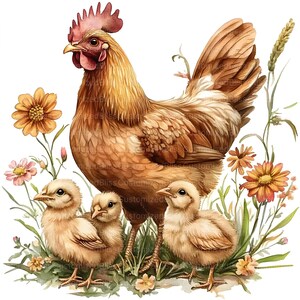 Chicken Family Rooster Chick Clipart Bundle, 16 High Quality Jpgs ...