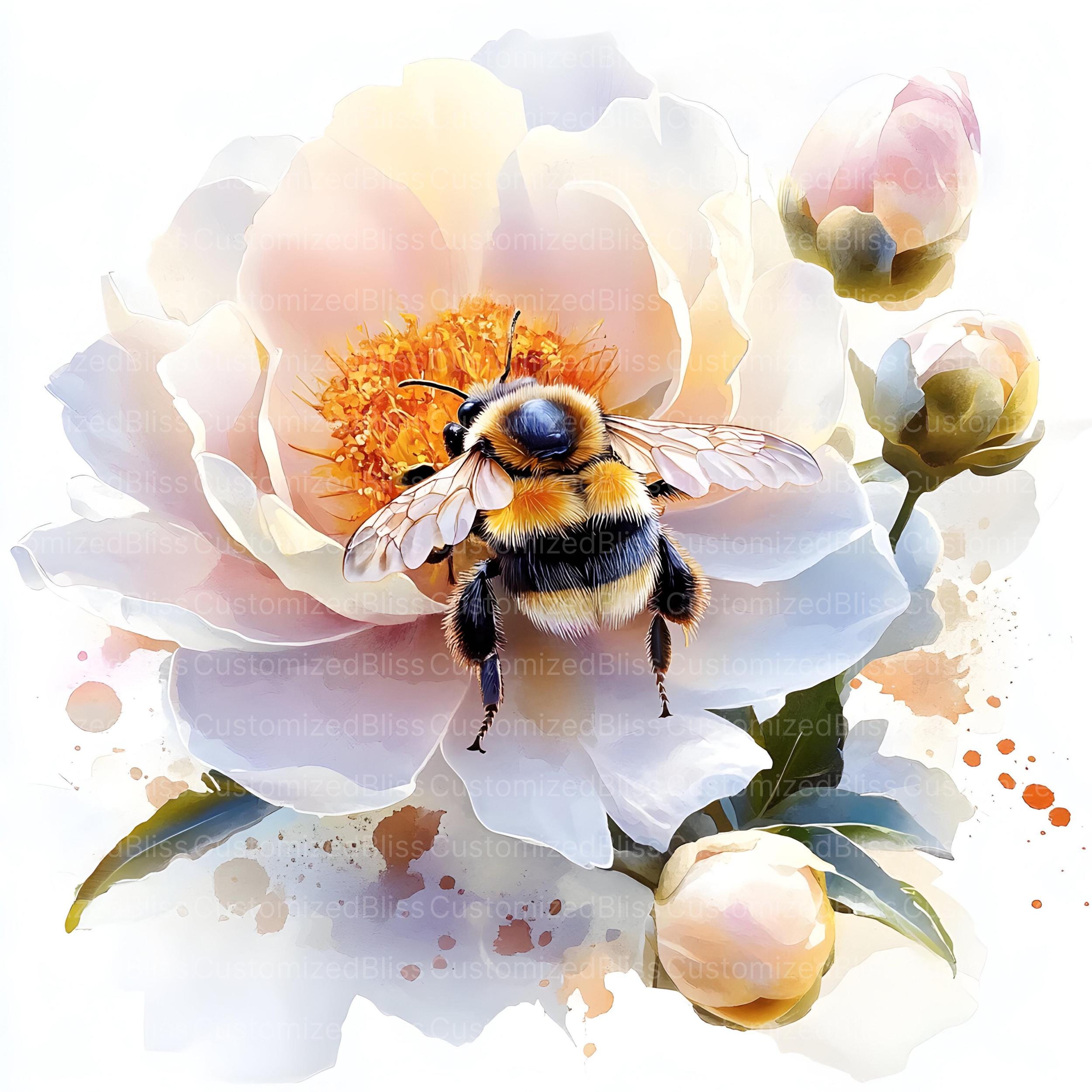 18 Bumble Bee Clipart, Honey Bee, Watercolor Flowers, Floral Clipart ...