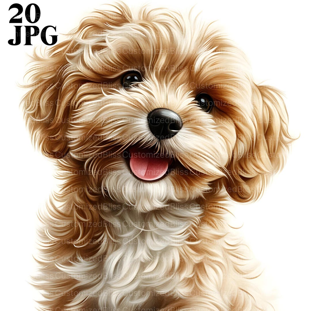 Cockapoo Dog Clipart, 20 High Quality Jpgs, Cockapoo Clipart, Puppy ...