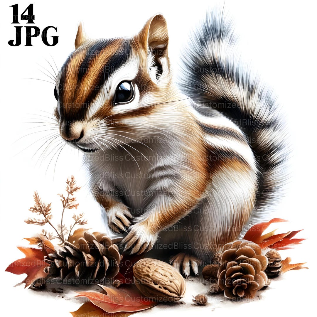 Chipmunk Clipart, Eastern Chipmunk, Woodland Animal, 14 High Quality ...