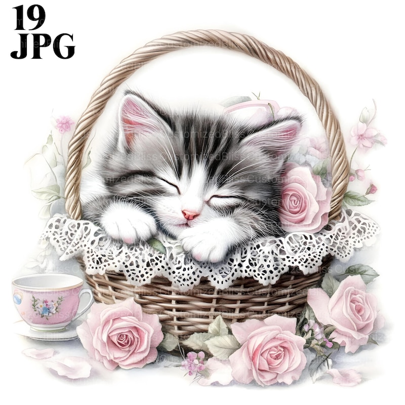 Sleepy Kitten Clipart - Etsy