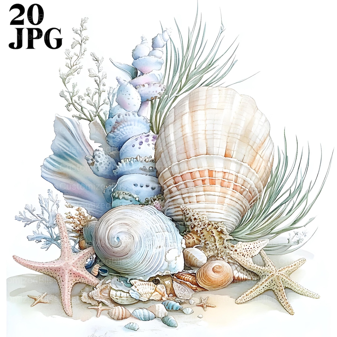 Seashell Clipart, Sea Shells Clipart, Coral Clipart, Ocean Clipart, 20 ...