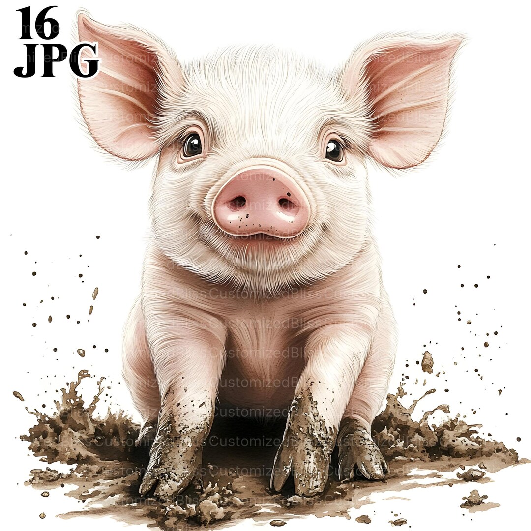 16 Pig in Mud Puddle Clipart, Pig Clipart, Piglet Clipart, Mud Clipart ...