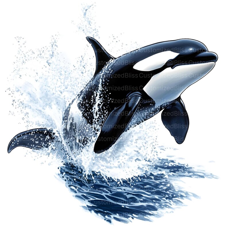 20 Killer Whale Clipart, Orca Clipart, Orca Whale, Marine Clipart ...