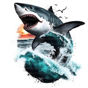 20 Shark Clipart, Ocean Clipart Bundle, Ocean Animal Clipart, Ocean Art ...