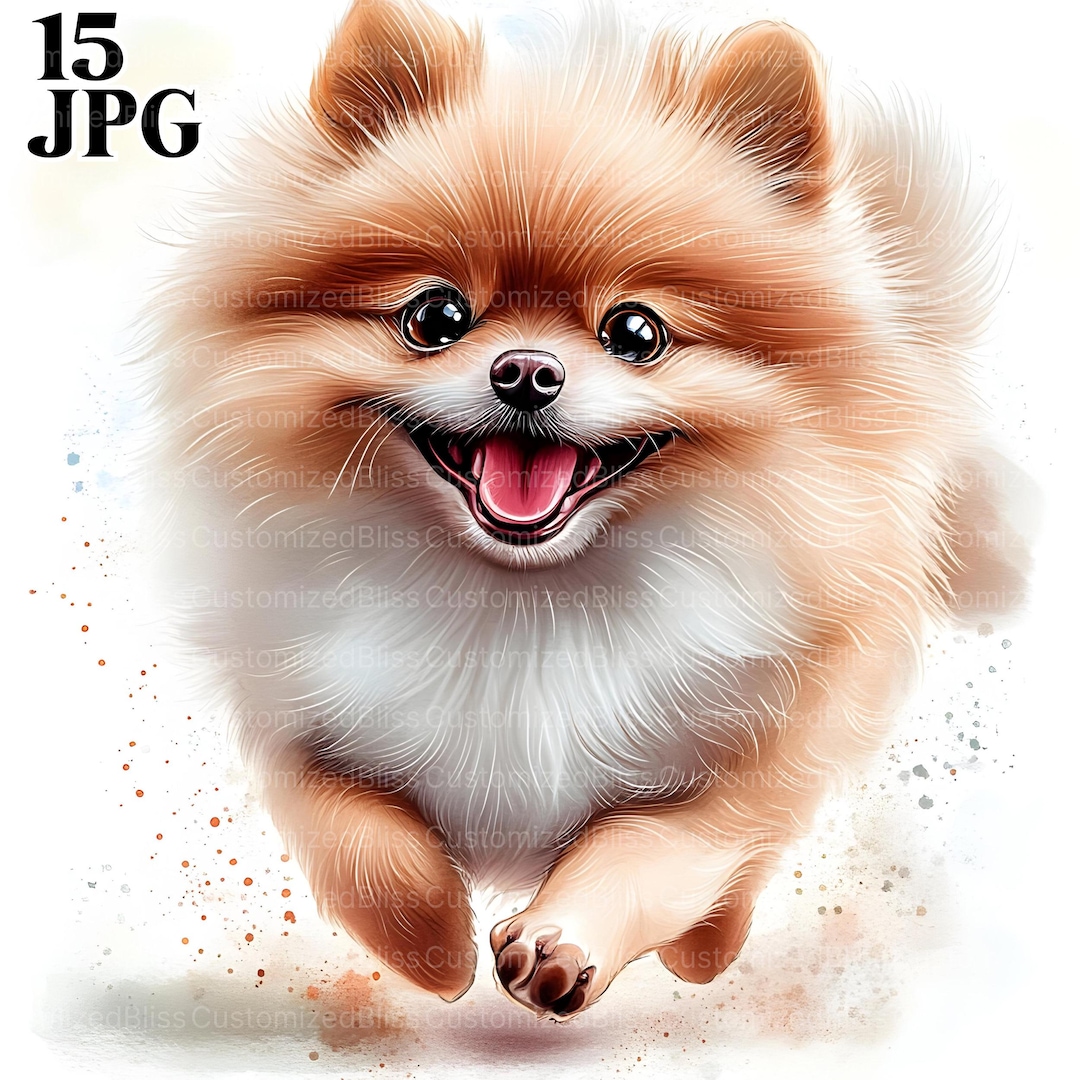 15 Pomeranian Clipart, Pomeranian Dogs, Pomeranian Puppy, Cute ...