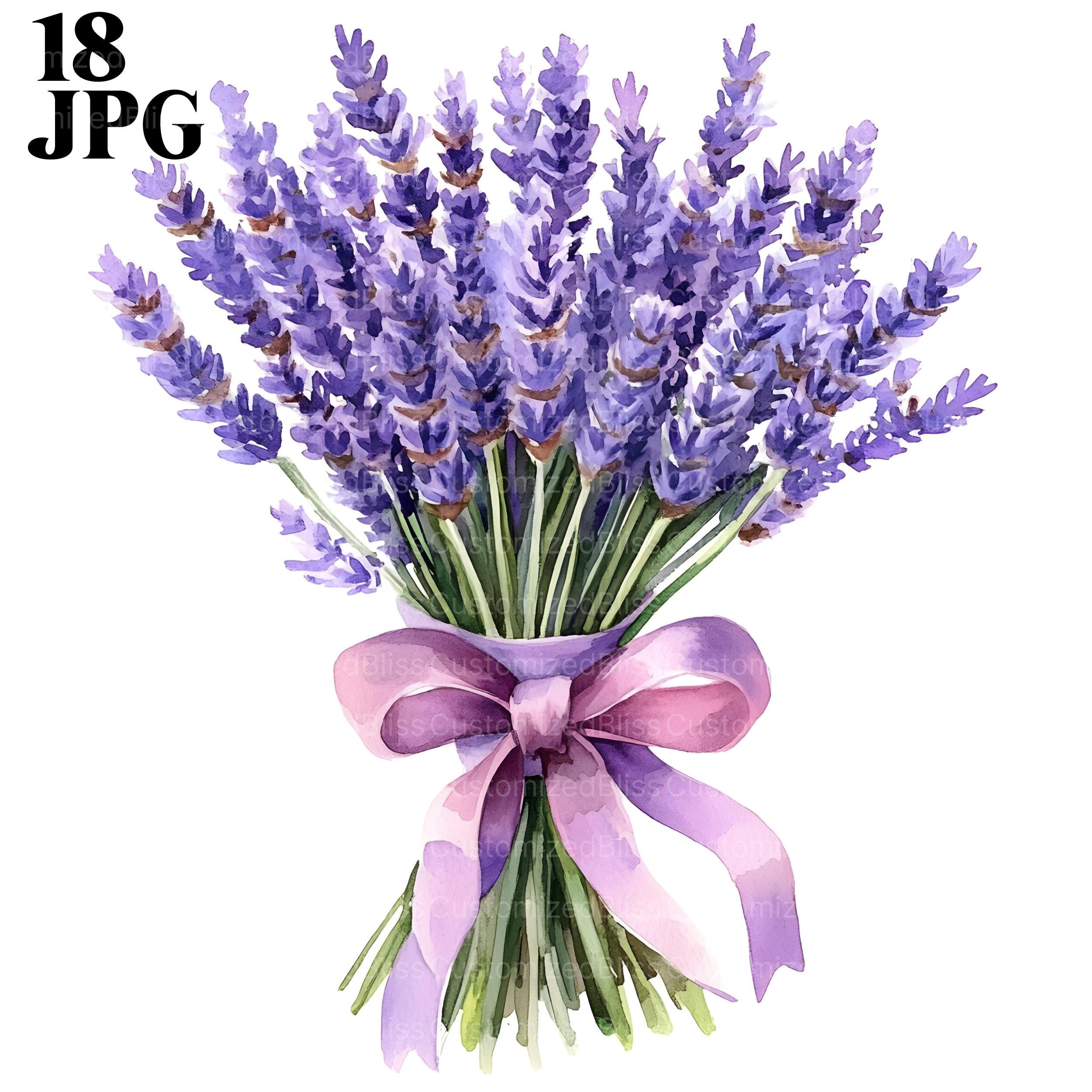 18 Lavender Bouquet Clipart, Lavender Flowers Clipart, High Quality ...