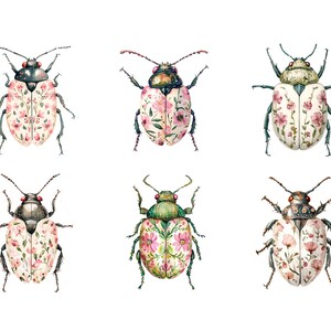 Floral Beetle Insect Clipart Bundle, 30 High Quality PNG, Folk Art ...