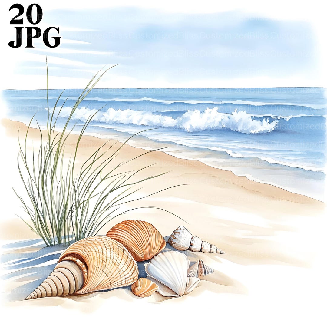 20 Tropical Beach Shells Clipart, Beach Clipart, High Quality JPG ...