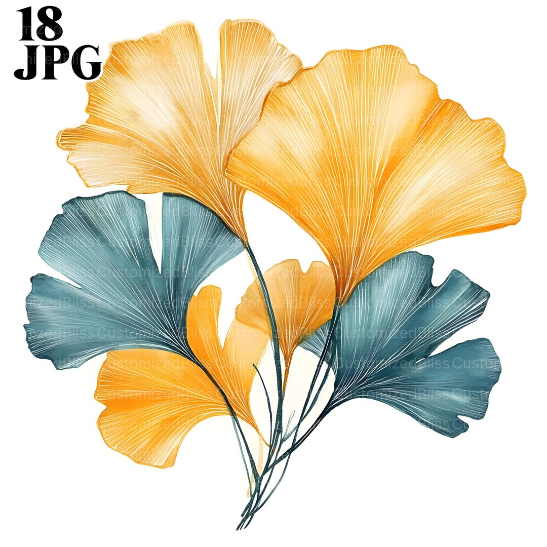 18 Gingko Leaf Clipart, Gingko Leaf, Japanese Leaf, High Quality Jpgs ...