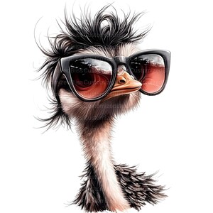 Emu Clipart, Ostrich Clip Art, Funny Bird Clipart, 16 High Quality Jpgs ...